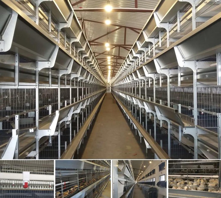 Index of /wp-content/uploads/2017/12/