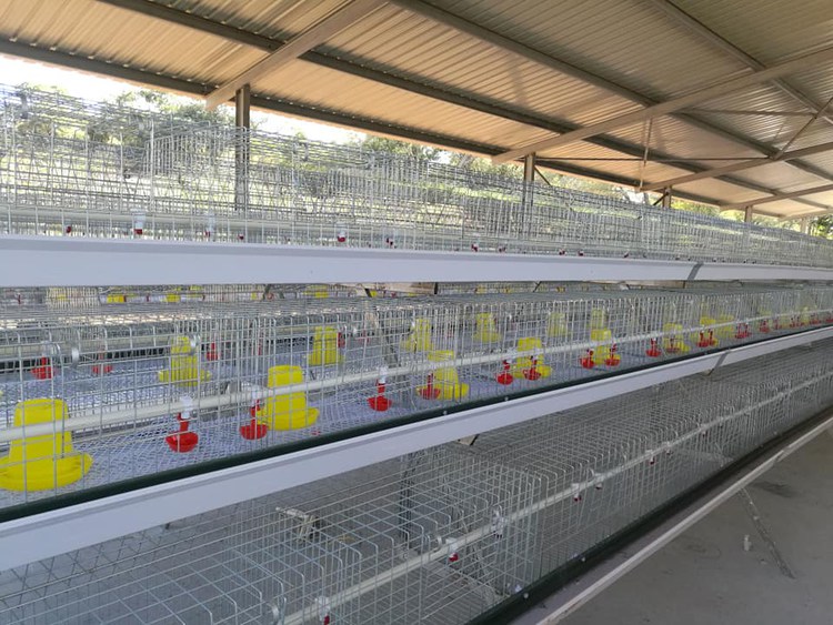 Index of /wp-content/uploads/2018/01/