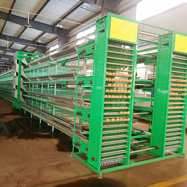 90 Birds Battery Cage System for Layers - Poultry equipment supplier