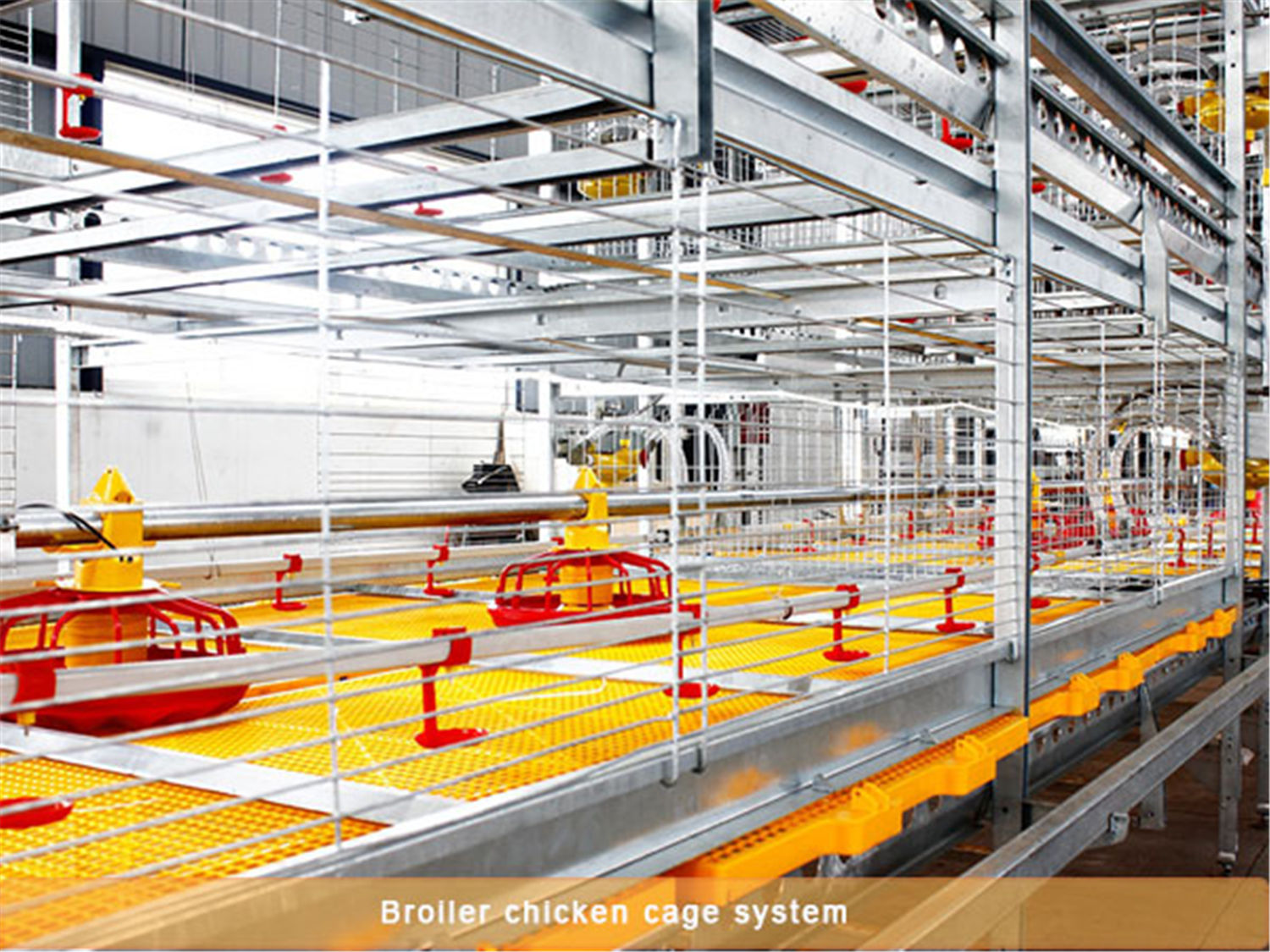 broiler battery cage system - broiler farming equipment supplier