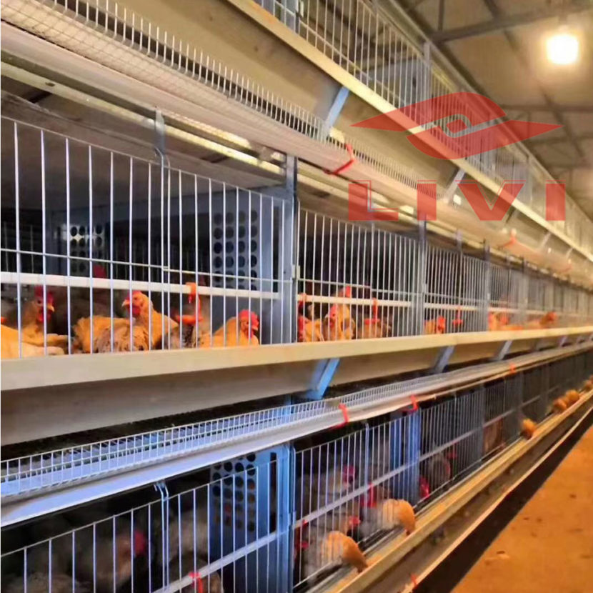 Tips for using breeding equipment - Poultry equipment supplier