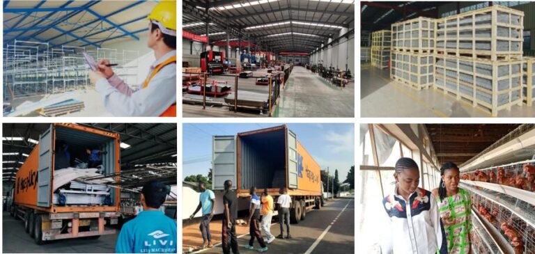 Professional guide on how to make your poultry farm business plan ...